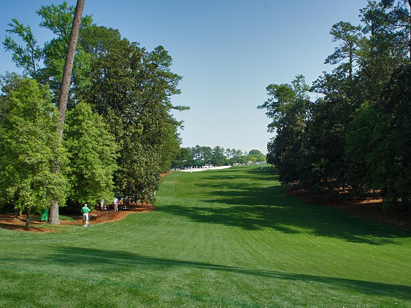 Augusta National Golf Course Gallery